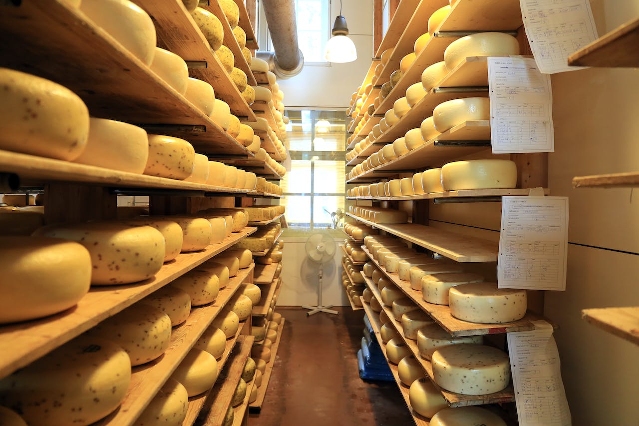 Cheesemaking - NES Company