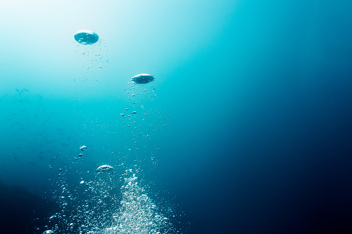 Vacuum Deaeration Rotary Vane Vacuum Pumps And Compressors Deaerated Water Systems Nes Company